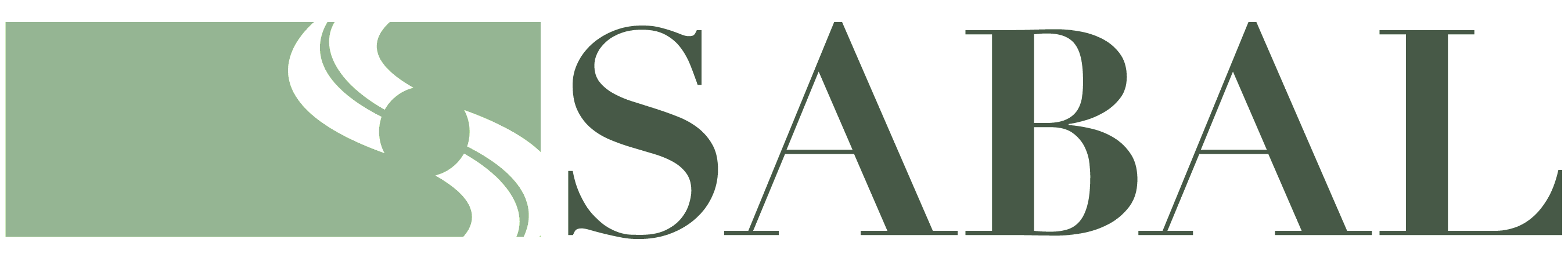 Sabal Capital Partners Debuts Commercial Real Estate Loan Program – NMP