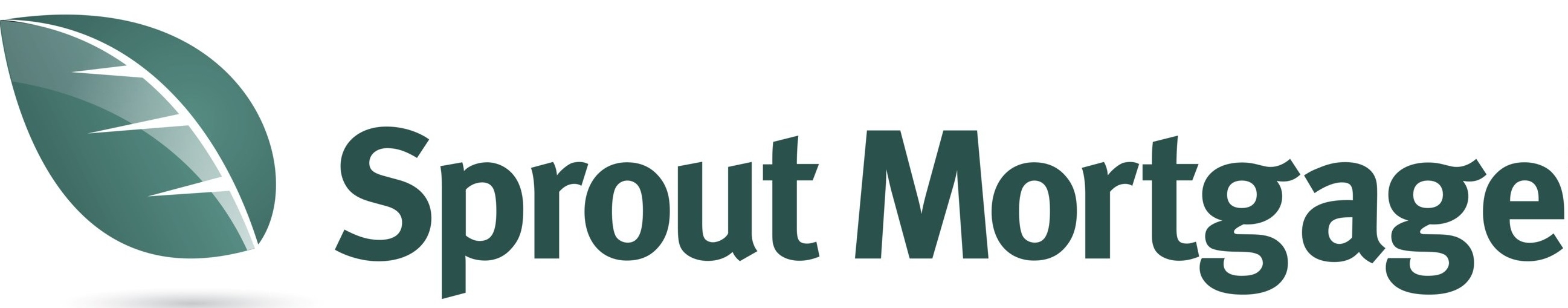 Sprout Unveils Non-QM Bank Statement Analyzer – NMP