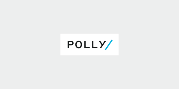 FinTech Polly Appoints New Chief Revenue Officer – NMP