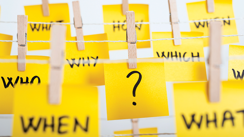 Curiosity Gets Results – NMP