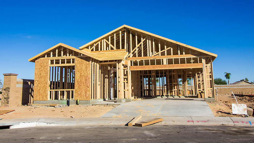 Texas Housing Insight: Beating The ‘Big Box’ Builders – NMP